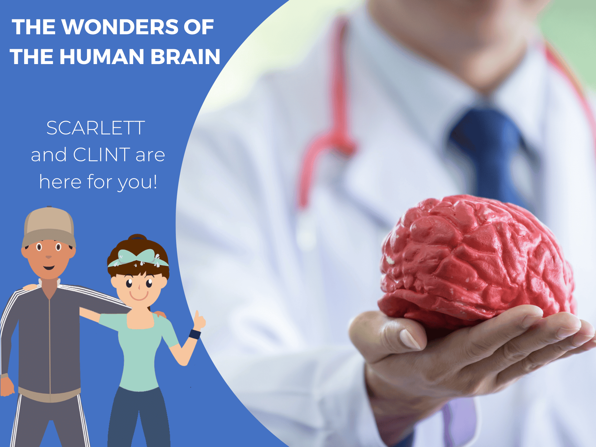 10 myths about the human brain you didn’t know | DYNSEO