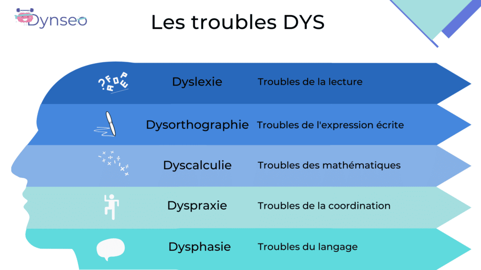 Formation DYNSEO : Accompagnement des troubles DYS