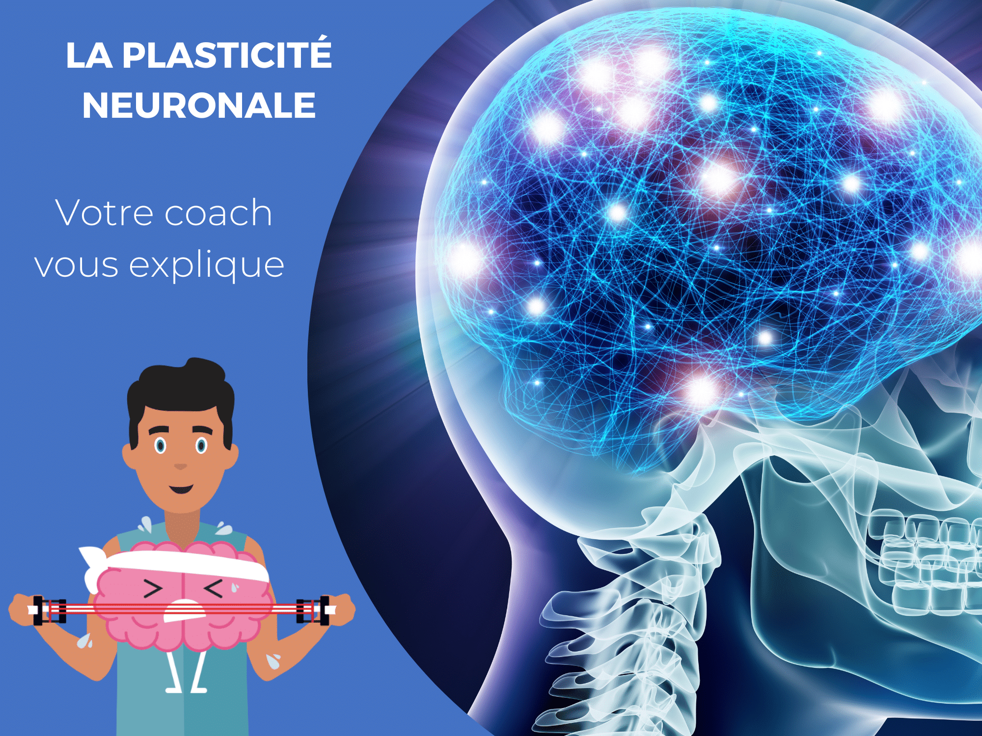 Plasticité neuronale : qu’est-ce que et comment l’améliorer ? | DYNSEO Plasticité neuronale : qu’est-ce que et comment l’améliorer ? | DYNSEO