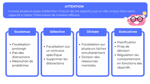 La Différence entre attention et concentration | DYNSEO - App educative ...