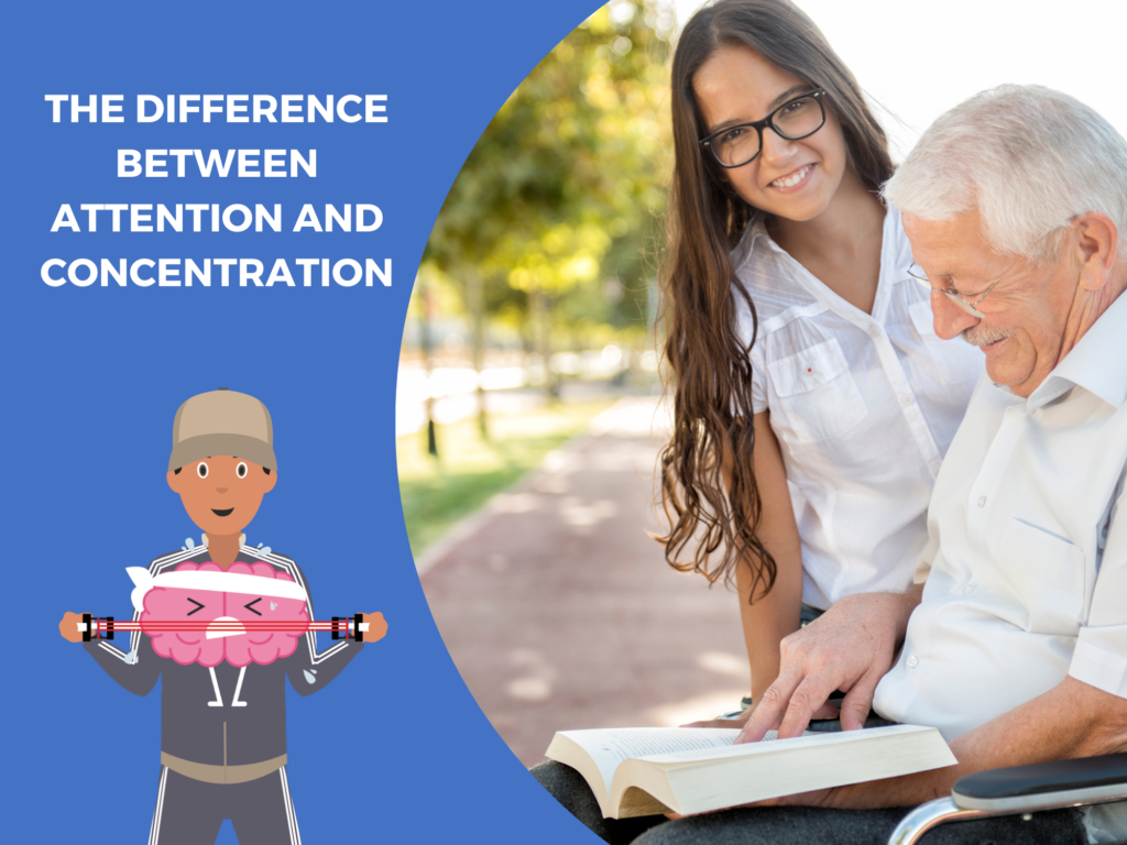 Attention vs Concentration: Key Differences Explained | DYNSEO